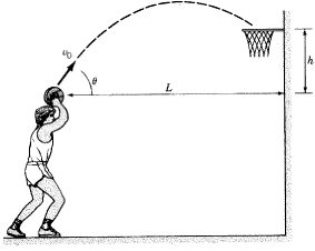 Solved A basketball player throws the ball at a 38degree | Chegg.com